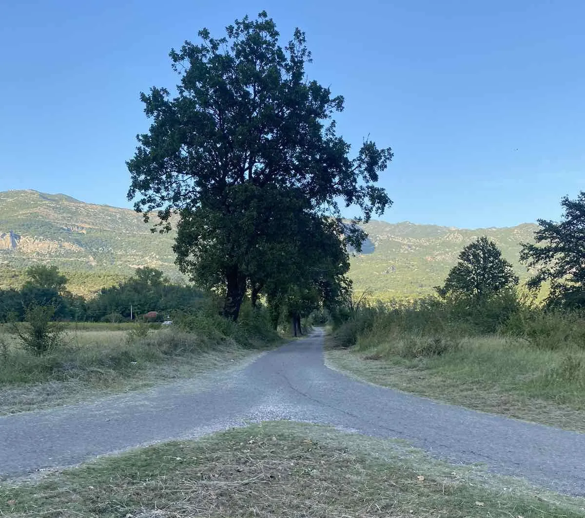 Predstavnici Zagorka napuštaju MZ “Orja Luka”: Mještani najavili ...